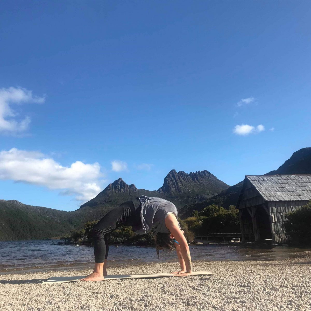 wombats, march flies and yoga, oh my! – carefree christa